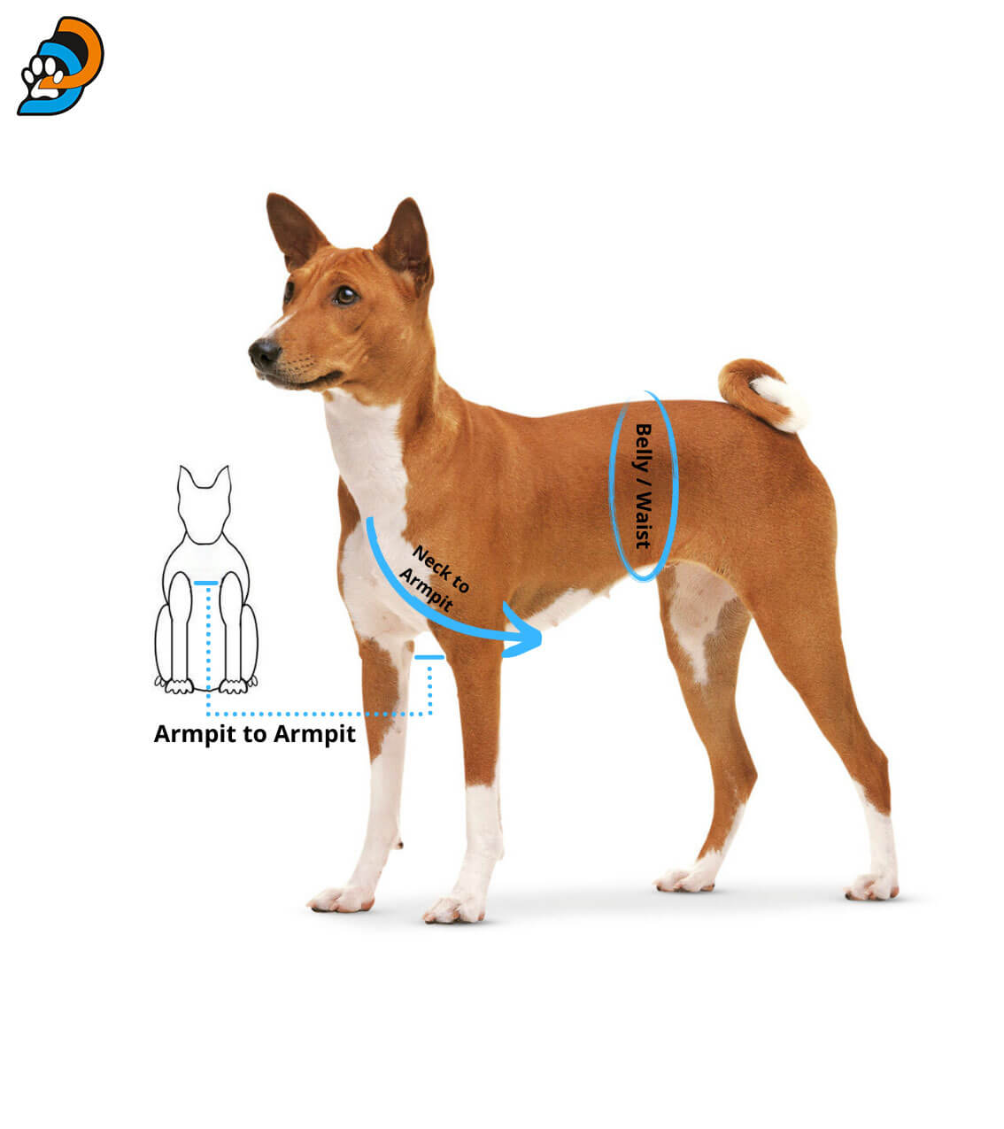 Measuring guide | Dog Dude Harness