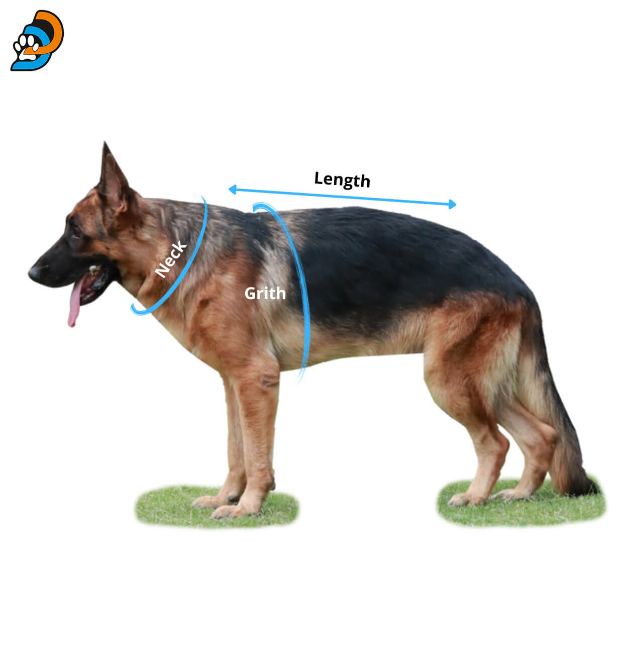 Measuring guide | Dog Dude Harness